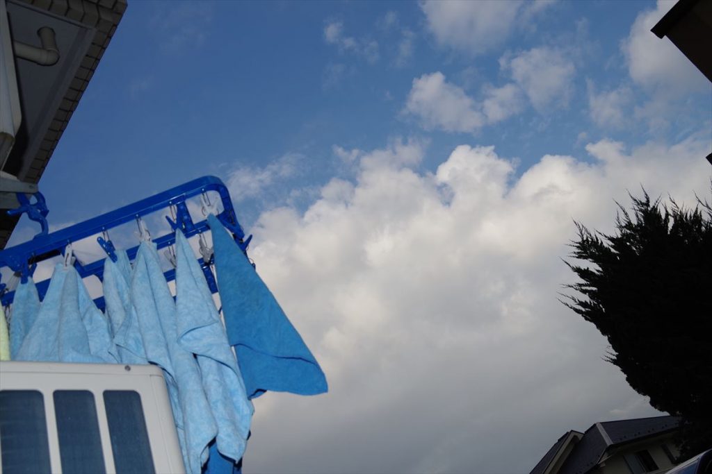 用賀の日常 0723 │ アクセスエボリューション -Access-Evolution BLOG-