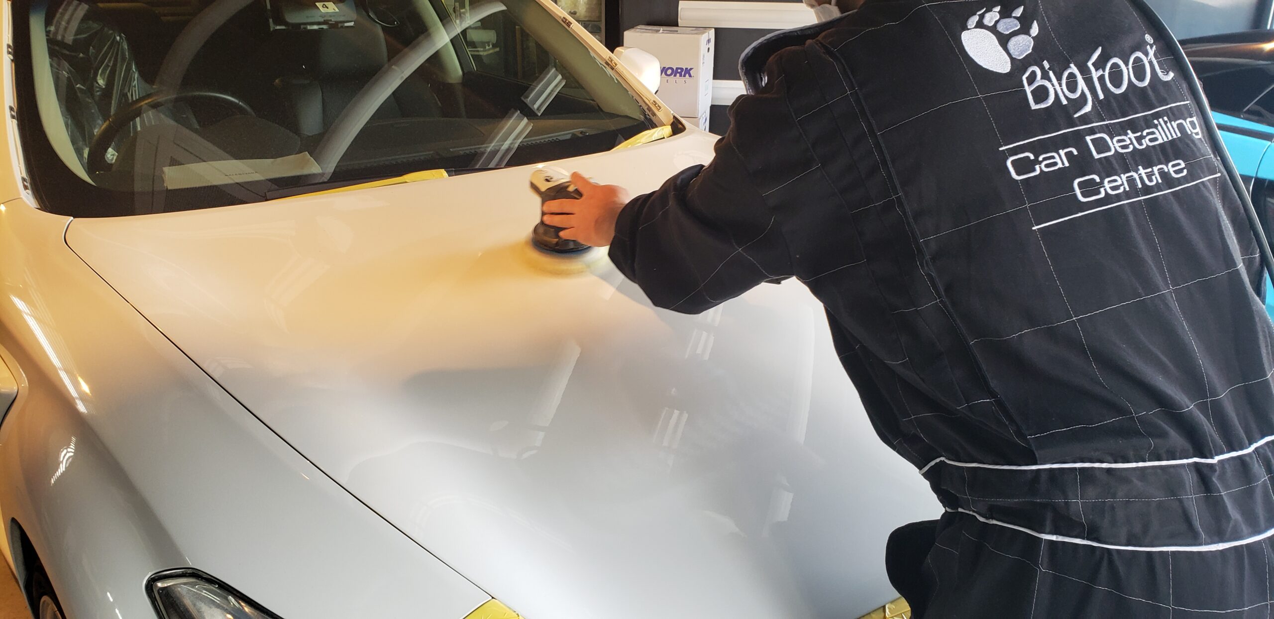 NISSAN FUGA Carbon Coating │ アクセスエボリューション -Access-Evolution BLOG-